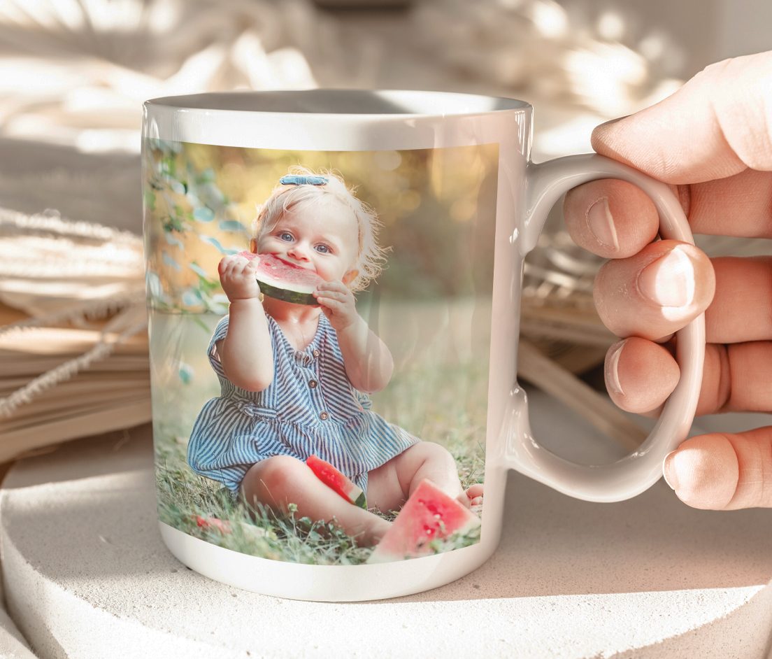 Meta Slider | Picaboo