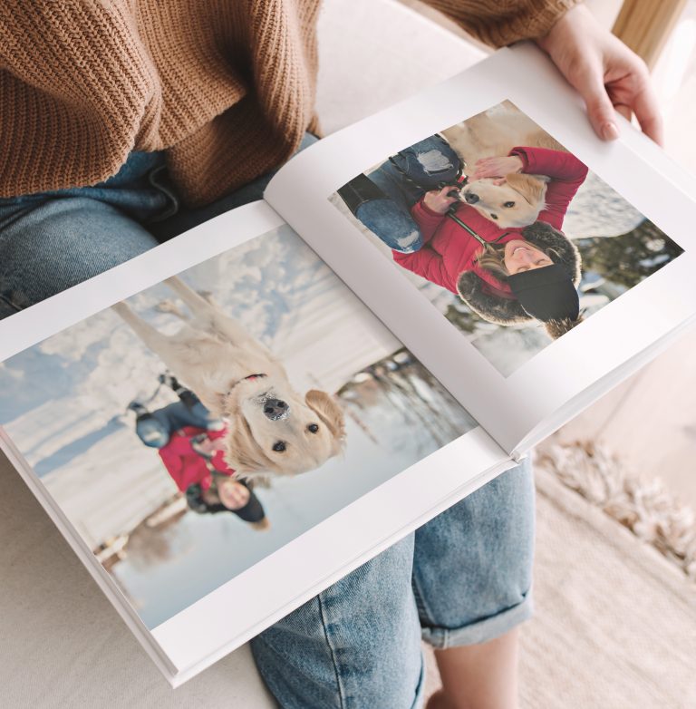 Santa Deals | Picaboo