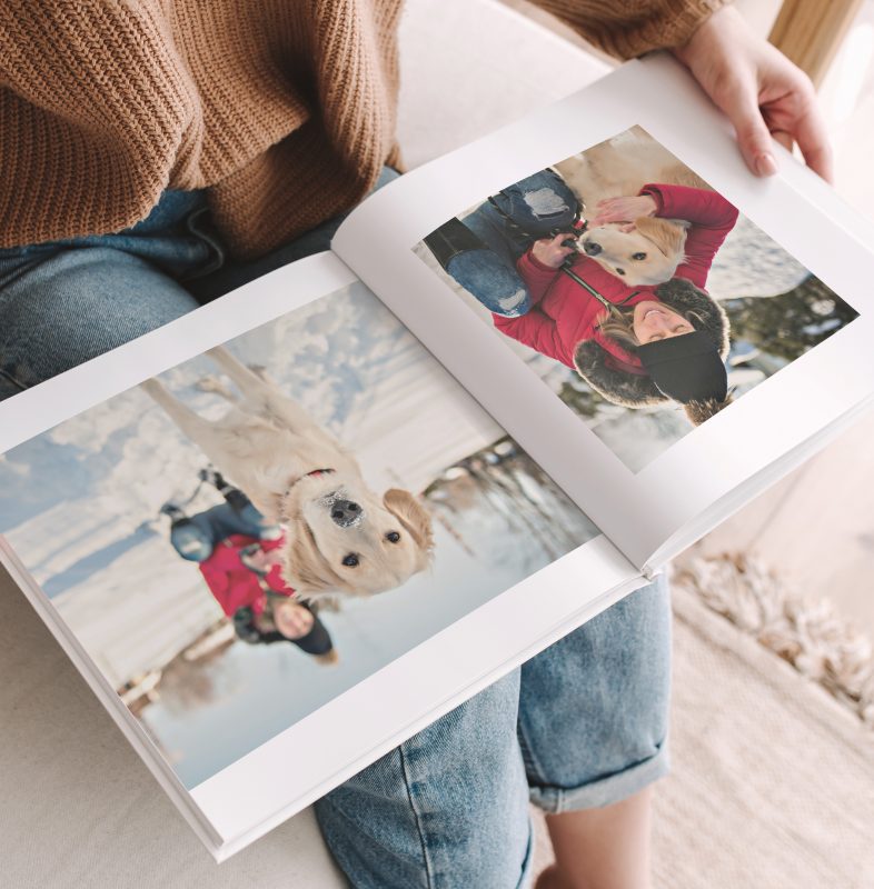 Santa Deals | Picaboo